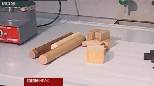 Scientists Turn Wood Into Bones