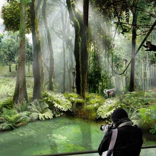 Sustainable Renovation of Zoo Showcases Conservation Efforts