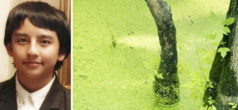 15 Year Old Invents Algae-Powered Energy System