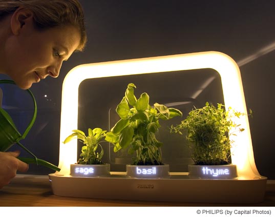 herbariumb | Inhabitat - Green Design, Innovation, Architecture, Green ...