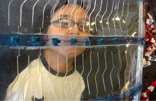 INTERACTIVE “LIVING GLASS” Regulates Air Quality