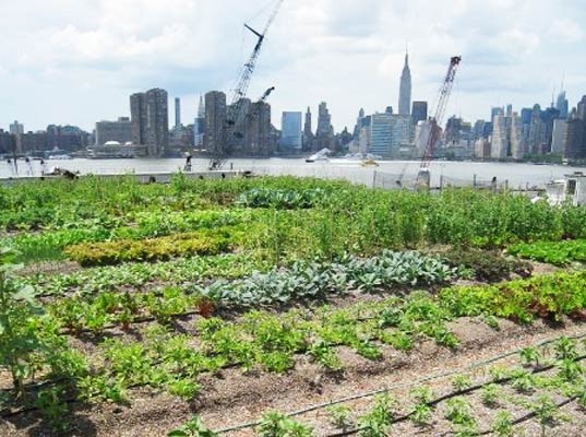 What a beautiful sight. | Inhabitat - Green Design, Innovation ...