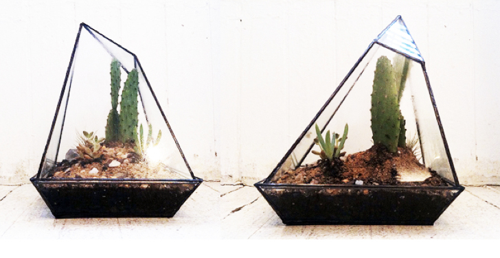 assembly-new-york-terrarium-2 | Inhabitat - Green Design, Innovation ...
