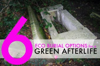 6 Eco Burial Options for a Green Afterlife