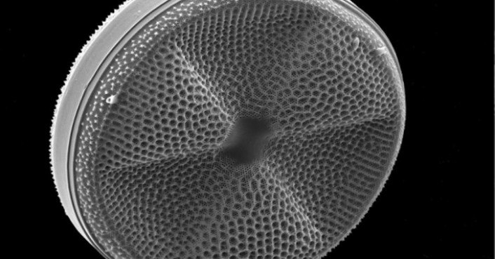 Prefab Plankton Building Cocoon_FS by Pohl Architects « Inhabitat ...