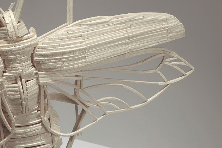 Kyle Bean's Amazing Stick Insects are Entirely Made from Matchsticks