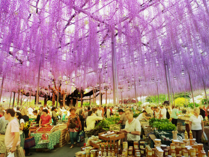 MVRDV Unveils Plans to Transform Almere, the Netherlands Into the ...