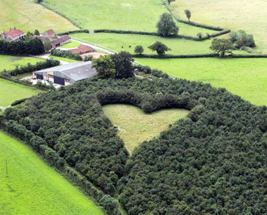 Heart-shaped-meadow | Inhabitat - Green Design, Innovation ...