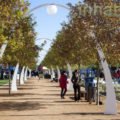 Klyde Warren Park Adds Much-Needed Green Space Atop the I-35 Freeway in ...