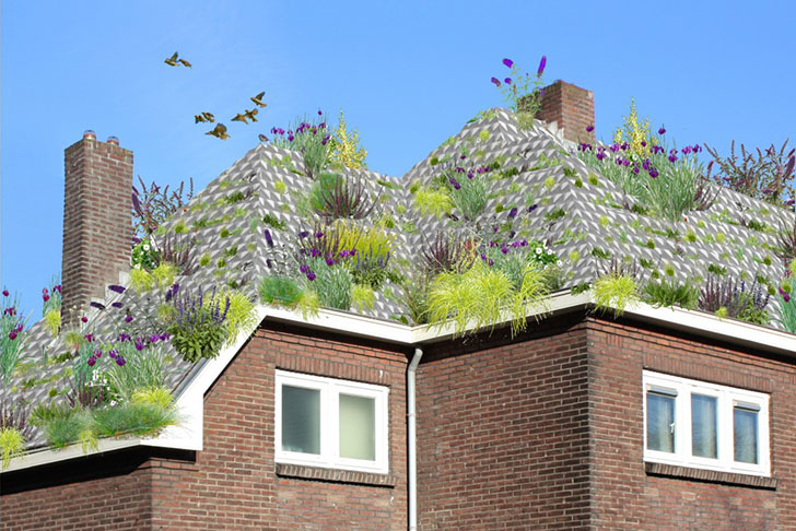 Roel de Boer Plans a Blooming Flower City With Planting Roof Tiles