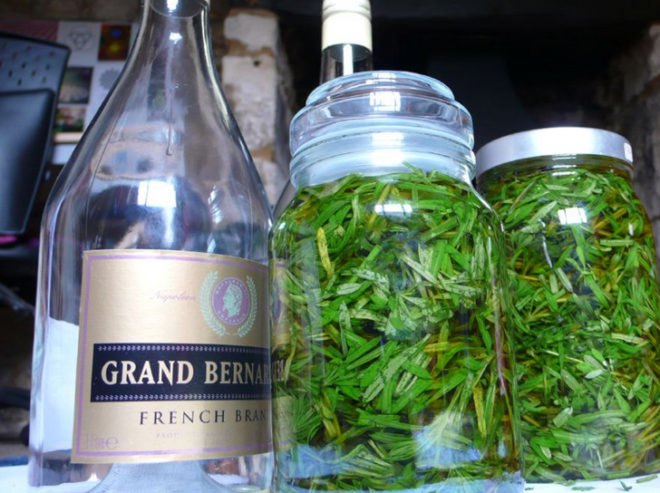 DIY: How to Make Your Own Tinctures from Herbs at Home