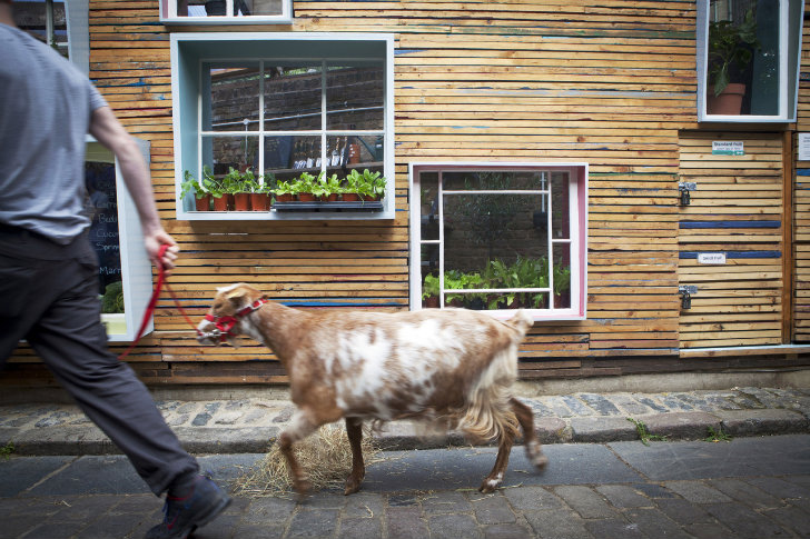 Sill to Sill-Hackney City Farm | Inhabitat - Green Design, Innovation ...