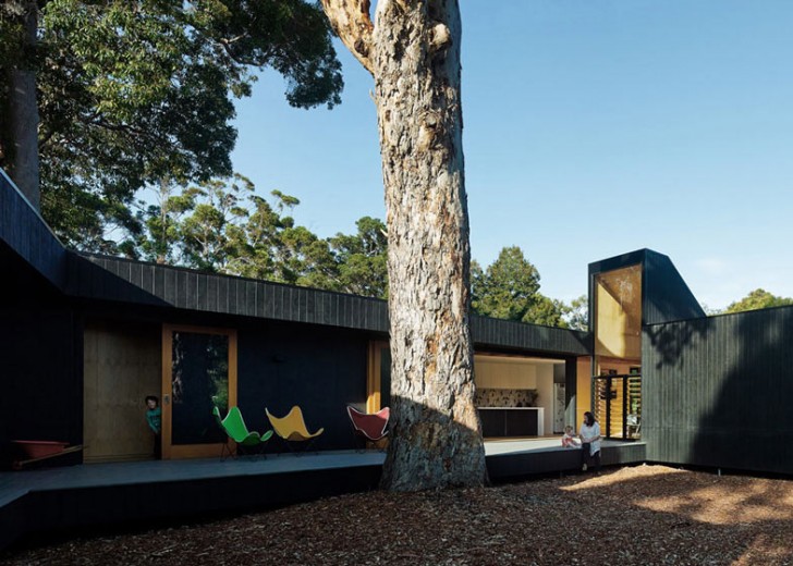 Asymmetrical Karri Loop House is Built Around Indigenous Trees in Australia