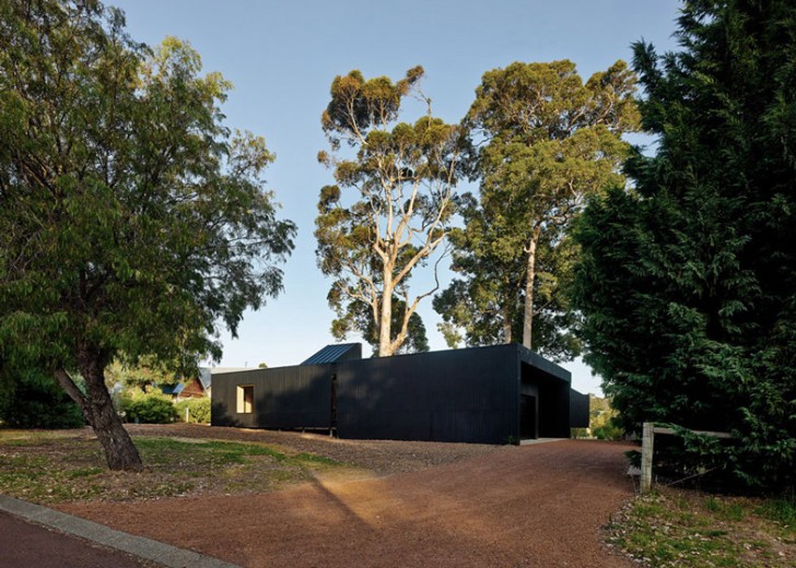 Asymmetrical Karri Loop House is Built Around Indigenous Trees in Australia