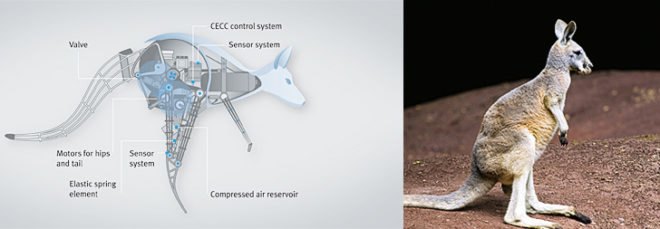 Festo Uses Biomimicry to Design an Energy Efficient Bouncing Bionic ...