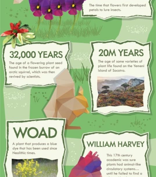 INFOGRAPHIC Edible Medicinal Or Just Bizarre Here Are 50 Amazing