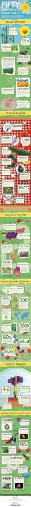INFOGRAPHIC Edible Medicinal Or Just Bizarre Here Are 50 Amazing infographic-edible-medicinal-or-just-bizarre-here-are-50-amazing