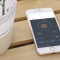 Bios Incube is a smart and stylish way to grow a tree from the ashes of ...