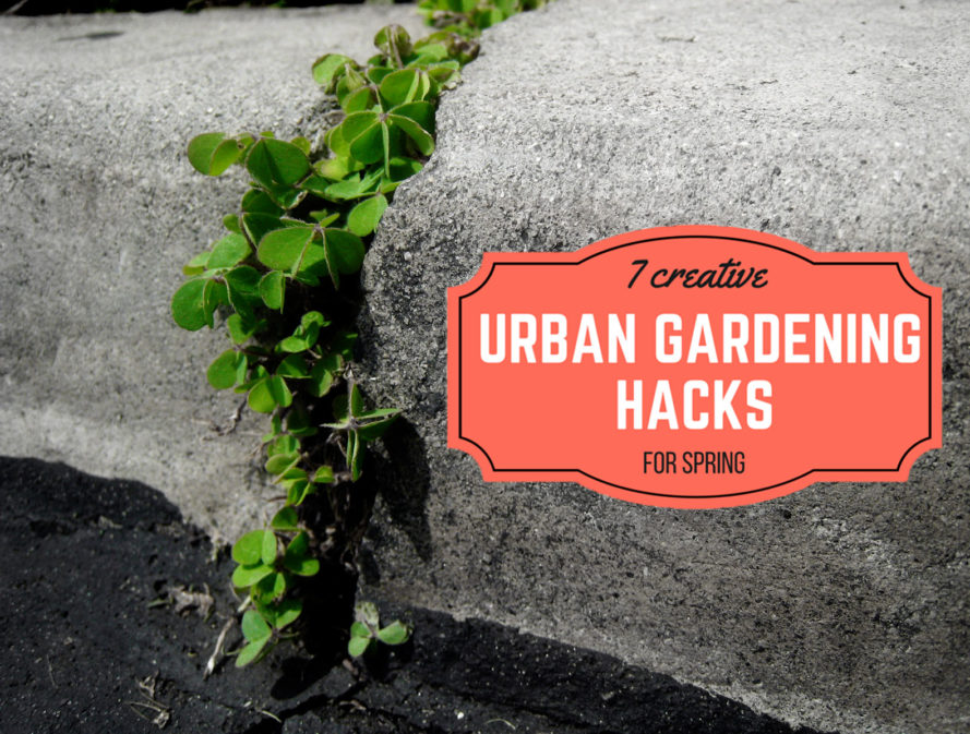 7 creative urban gardening hacks for spring