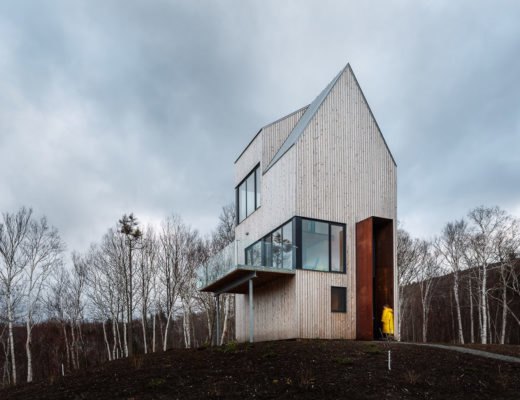Contemporary timber cabin doubles as a lookout tower with dramatic ...