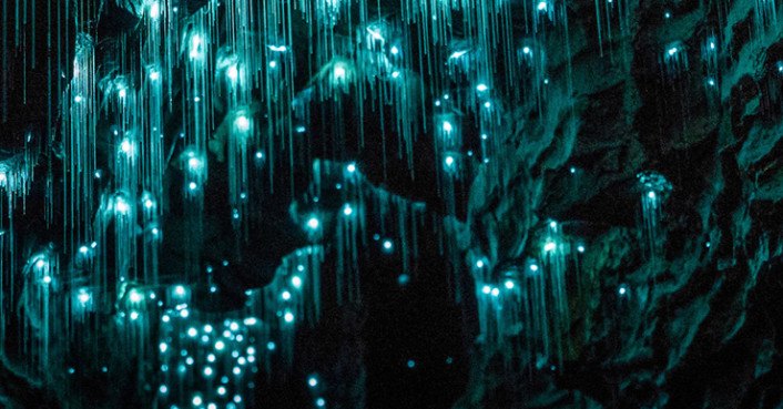 Magical New Zealand cave is illuminated by luminescent glowworms