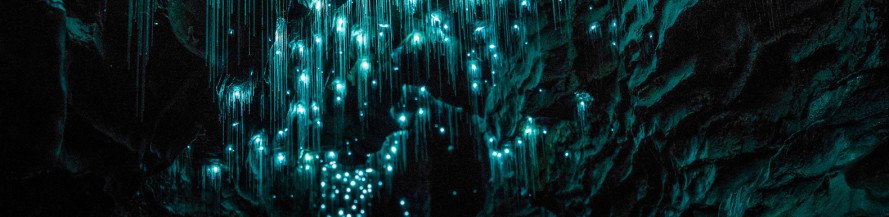 Magical New Zealand cave is illuminated by luminescent glowworms
