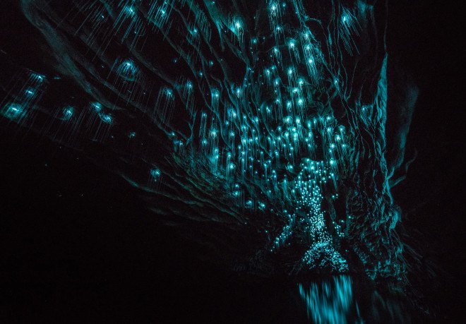 Magical New Zealand cave is illuminated by luminescent glowworms