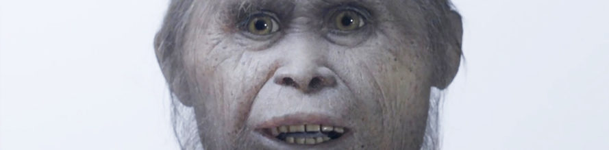 New 'Hobbit' fossils provide a glimpse into human relative