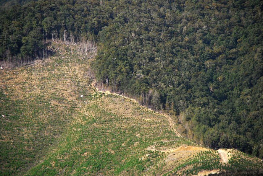 Catastrophic loss of world’s wilderness in past two decades | Inhabitat ...