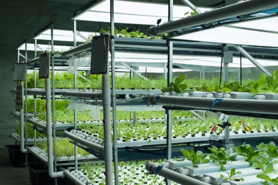 Farm 360 Indianapolis | Inhabitat - Green Design, Innovation ...