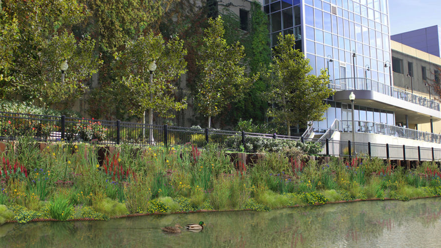 Floating Gardens in the Chicago River | Inhabitat - Green Design ...