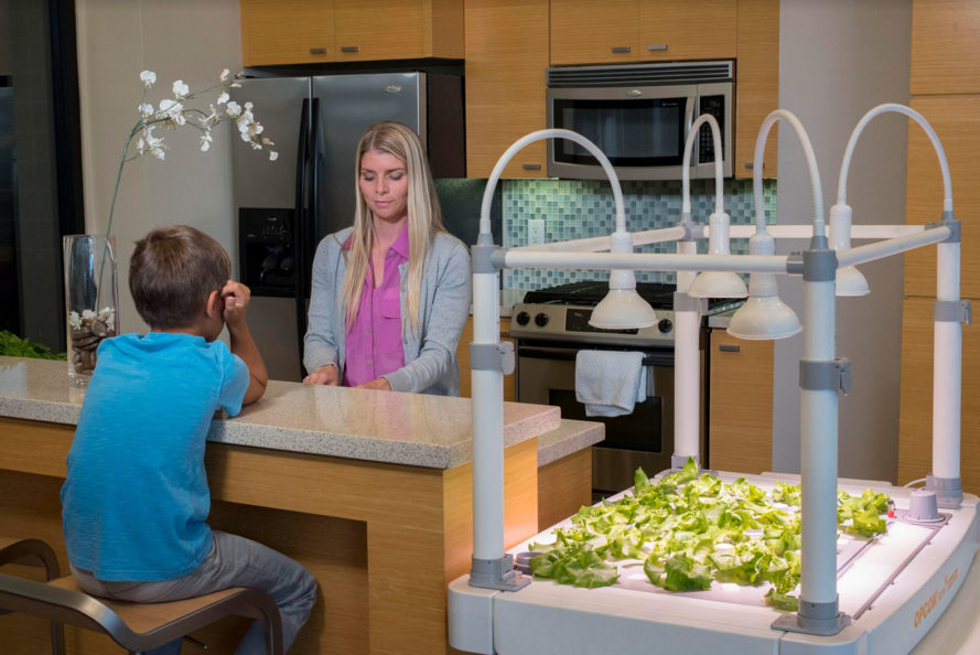 Create your own indoor mini farm with the energy-efficient GrowBox