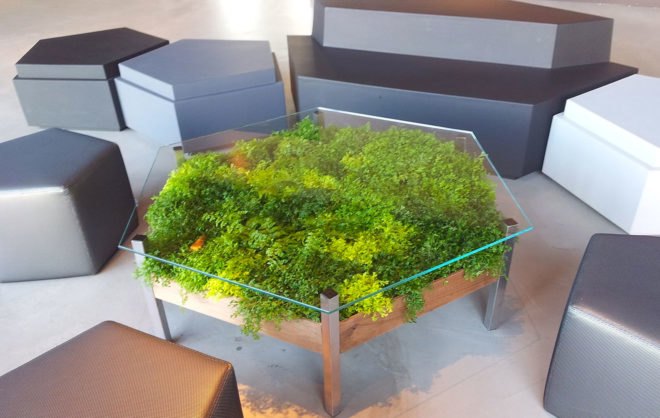 The Living Table is a verdant indoor garden hidden in your table