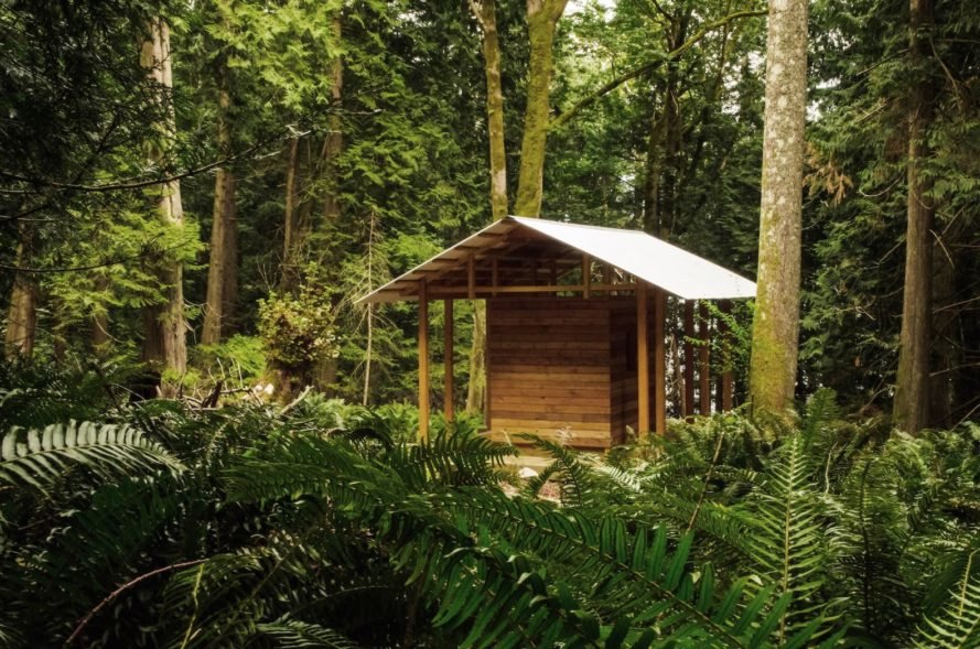 Off-grid rainforest cabin built from scratch has minimal site impact