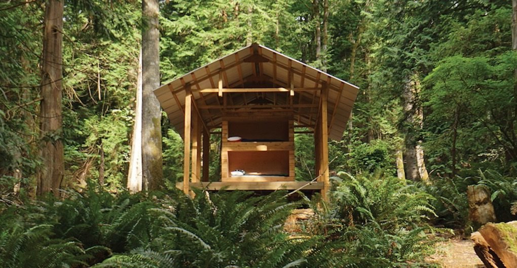Off-grid rainforest cabin built from scratch has minimal site impact ...