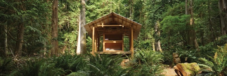Off-grid rainforest cabin built from scratch has minimal site impact
