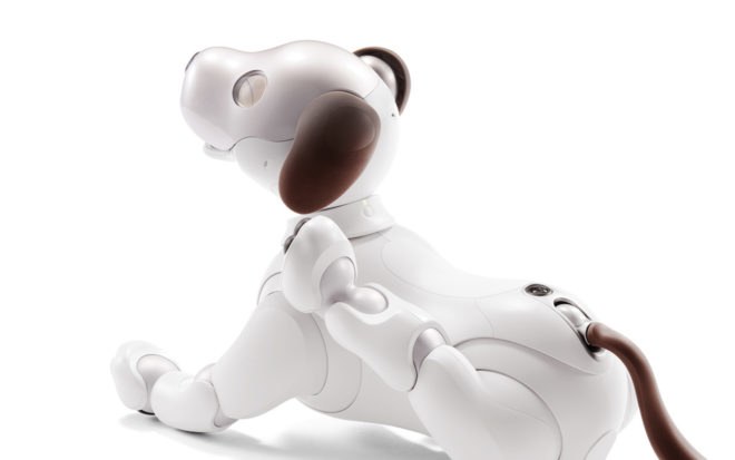 Sony's Aibo robo dog is back - and it's cuter than ever