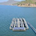 The Netherlands plans 26,910-square-foot floating solar farm at sea