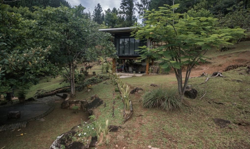 Off-grid cabin is elevated off the forest floor with log columns ...