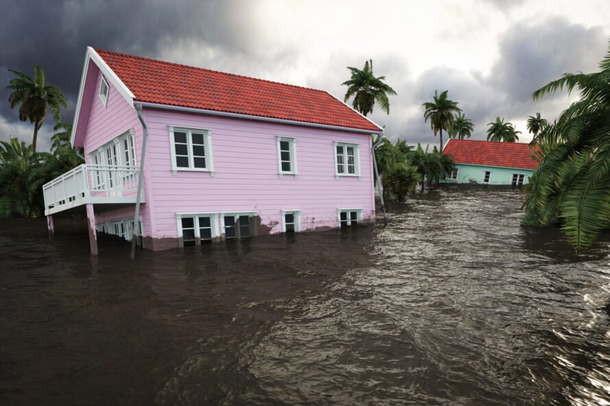 Women are essential to climate resilience in the Caribbean — here’s why