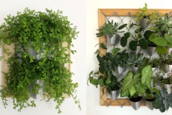 Sead Pod offers grassroots solution to air pollution and global warming