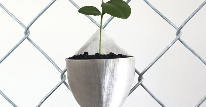 Sead Pod offers grassroots solution to air pollution and global warming