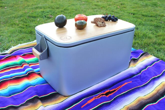 This durable, recyclable cooler is made from bamboo, wool, steel and ...