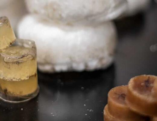 New eco-friendly, decomposing construction foam unveiled