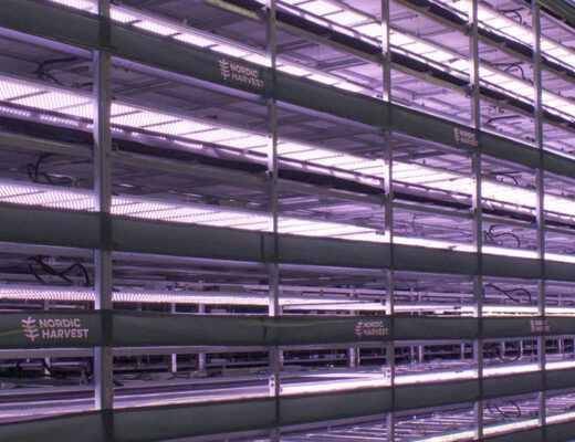 Construction of Europe’s largest vertical farm is underway