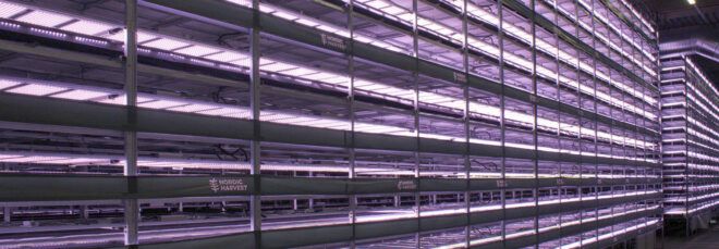 Construction of Europe’s largest vertical farm is underway