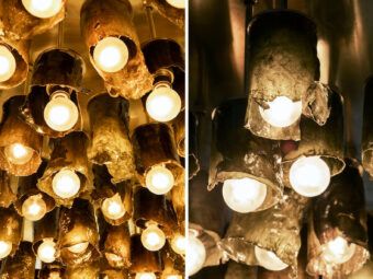 Algae light fixtures by nea studio illuminate natural design